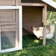 Precision Pet Cape Cod Chicken Coop - Walmart.com