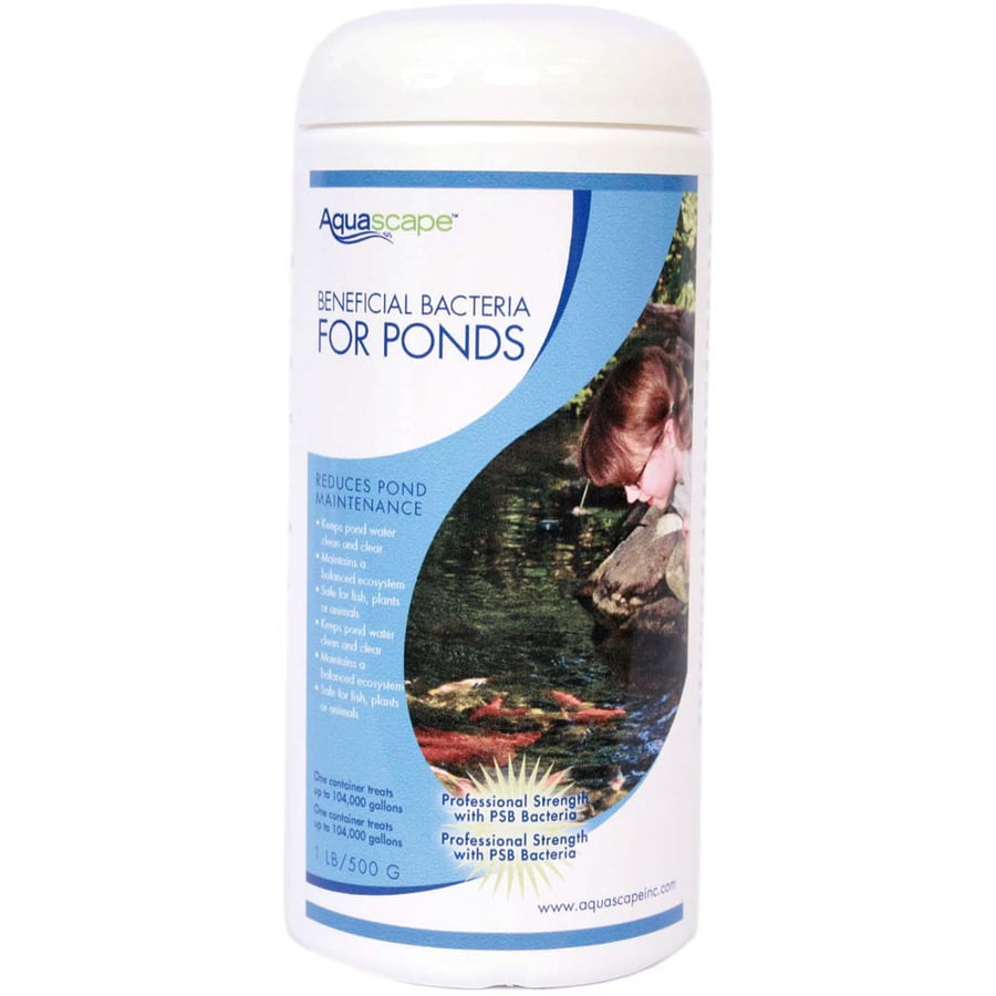 Beneficial Bacteria for Ponds/Dry - Walmart.com - Walmart.com