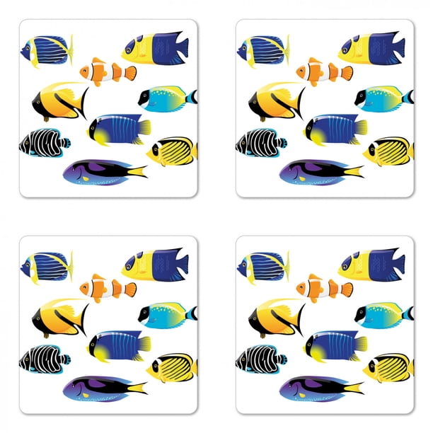 Atlantic Bonito