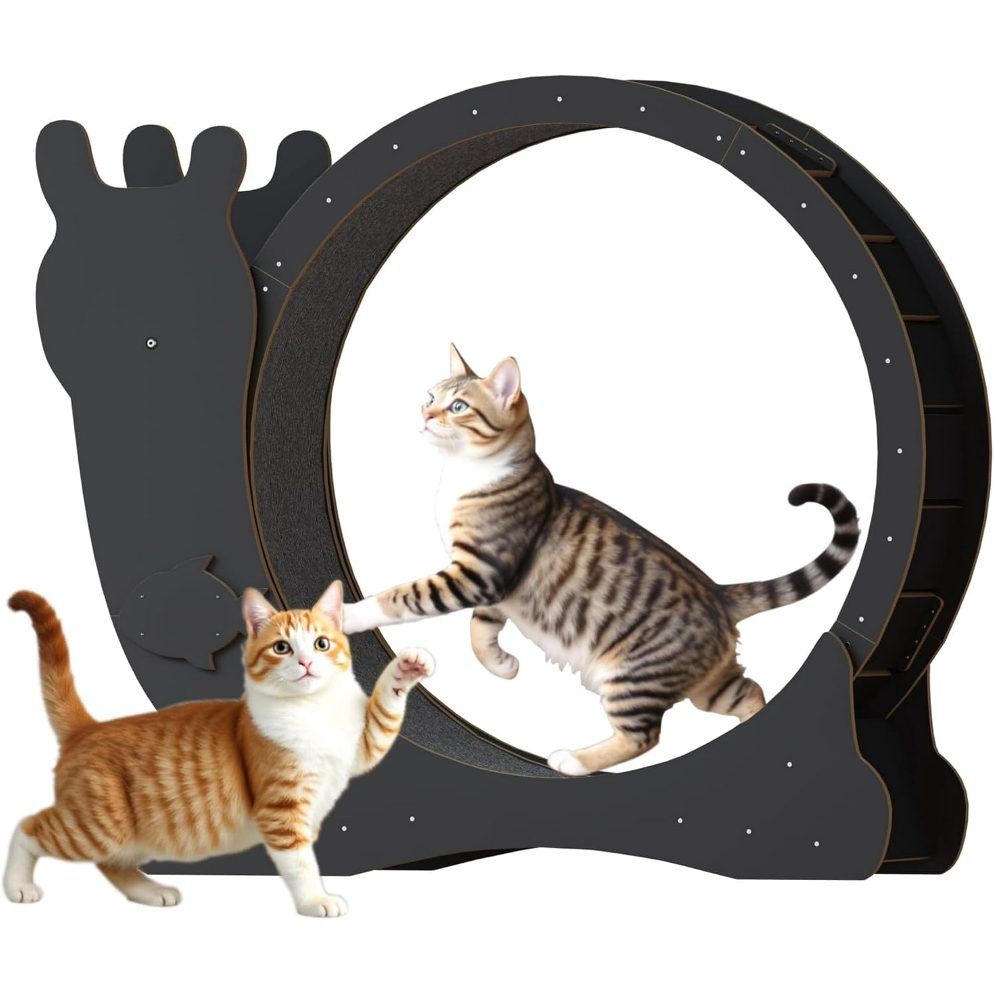 Click here for Homall Cat Exercise Wheel 42 Inch Large Cat Exerci... prices