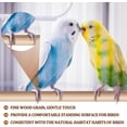 8 Pcs Bird Perches for Cage Accessories, Wooden Perch Rods Replacement ...