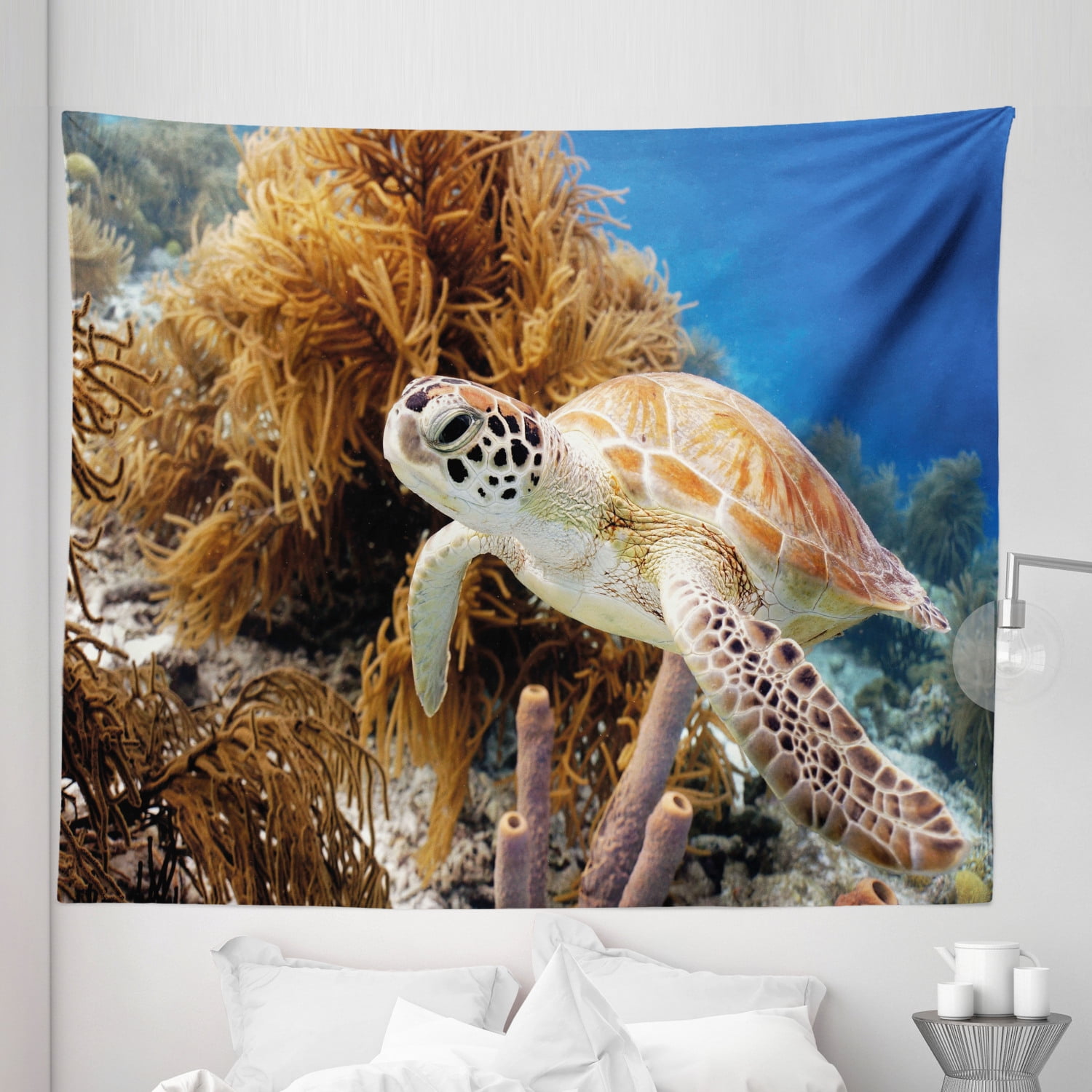 Turtle Tapestry, Coral Reef and Sea Turtle Close up Photo Bonaire ...