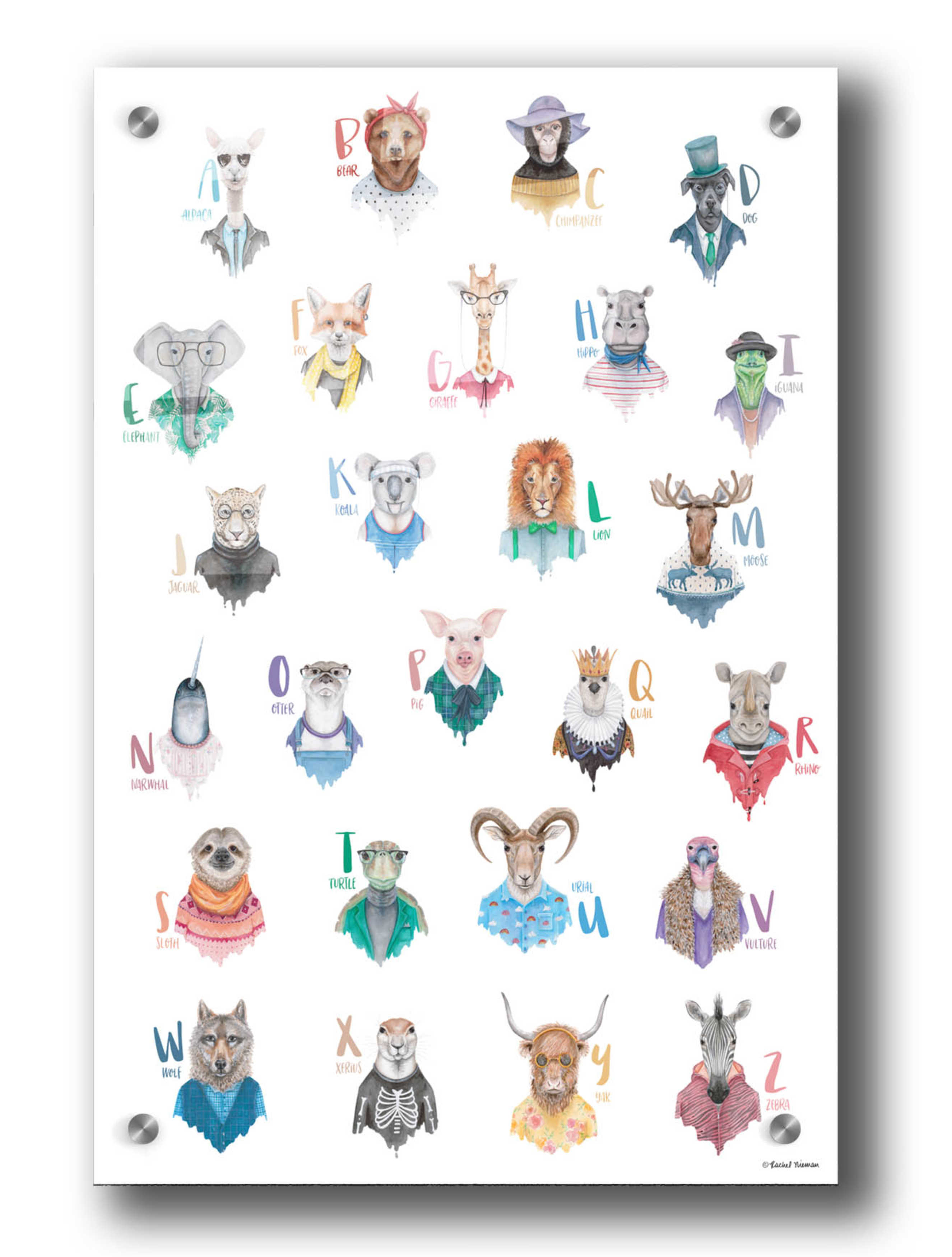 Epic Art 'Animal Alphabet Poster' by Rachel Nieman, Acrylic Glass Wall ...