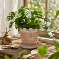 ZhangC Ceramic Planter Pot, Scalloped Wavy Rim Terracotta Pot with ...