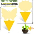 Junqi 12 Pack Sticky Fruit Fly & Gnat Traps for Indoor Outdoor ...