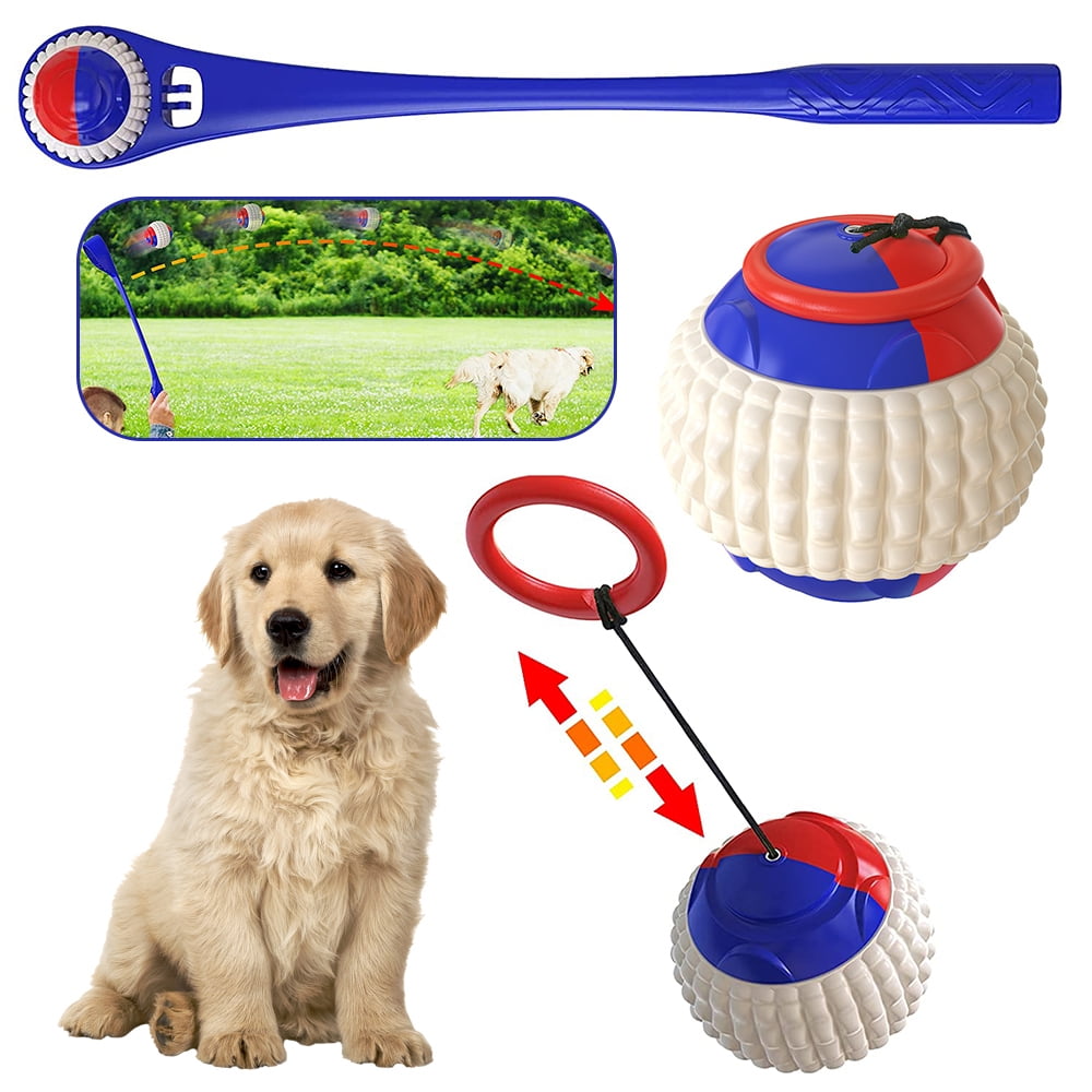 LNGOOR Dog Hand Thrower Toy Launcher Ball Retractable Rope Tether Dog ...