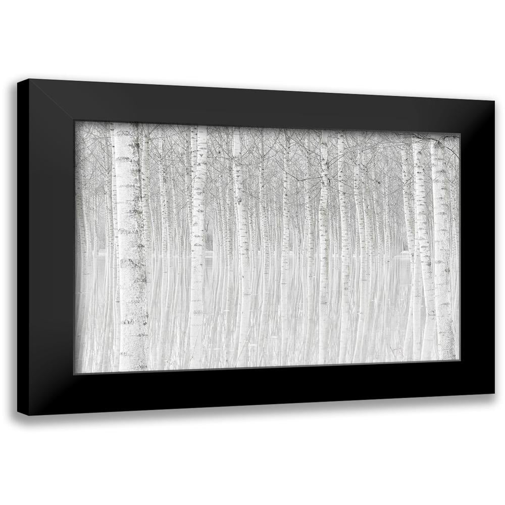 Simone, Aglioni 18x13 Black Modern Framed Museum Art Print Titled ...