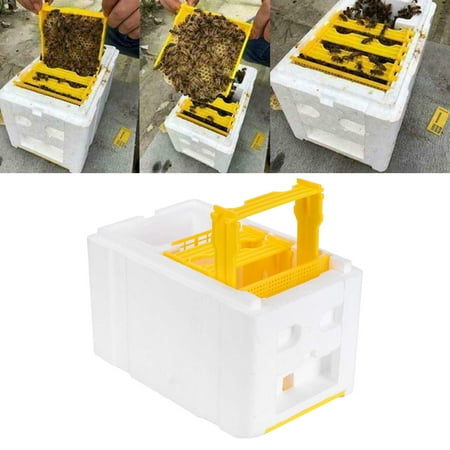 Loewten Mini Beehive Queen Bee Mating Box Pollination High Density Foam ...