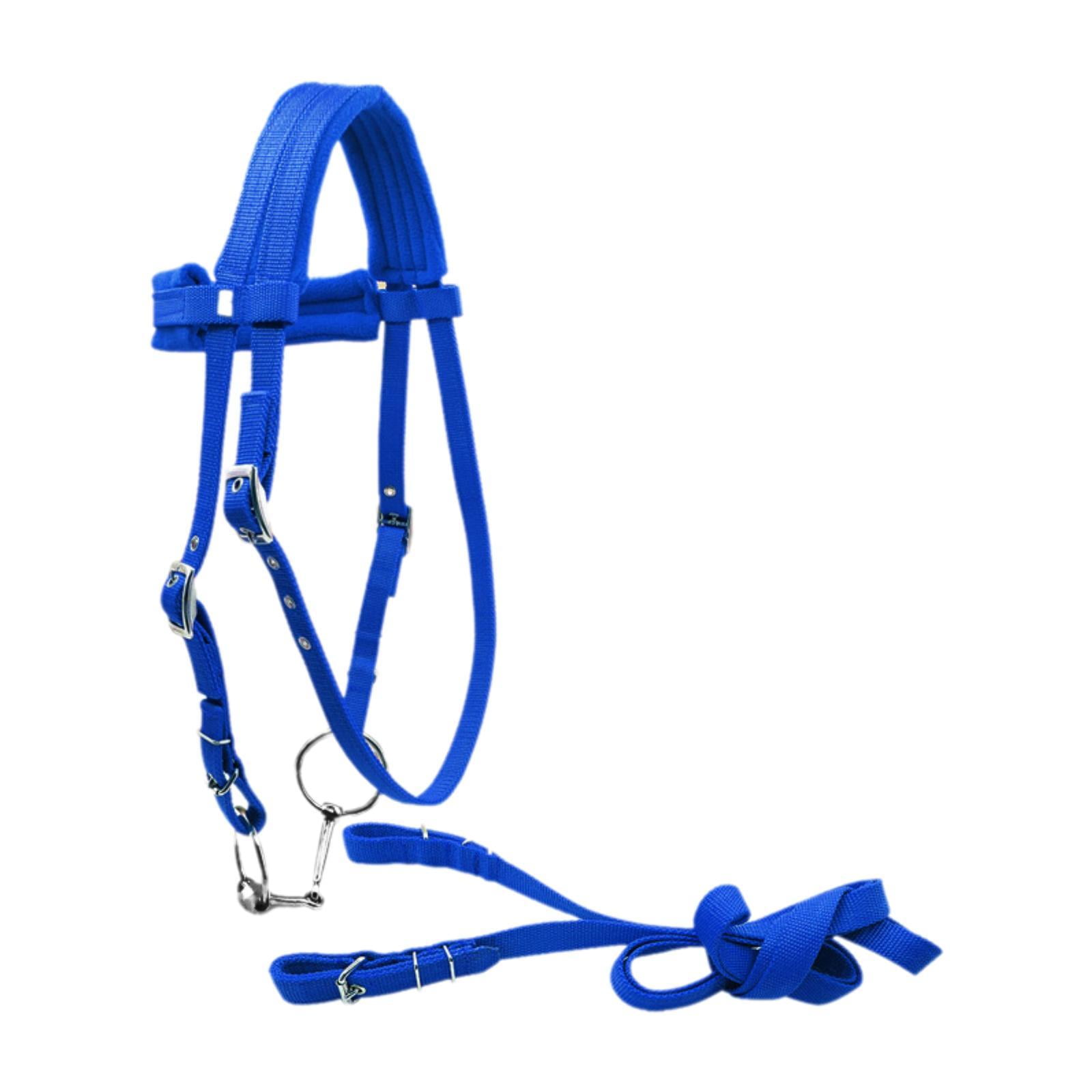 Brida de caballo con rienda, cuerda para montar a caballo, broca de ...