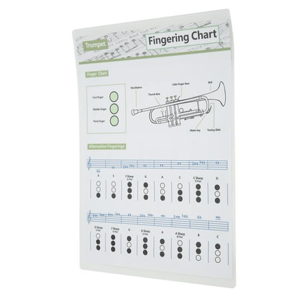 Trumpets Note Reference, Trumpet Chord Chart Art Paper For Home ...