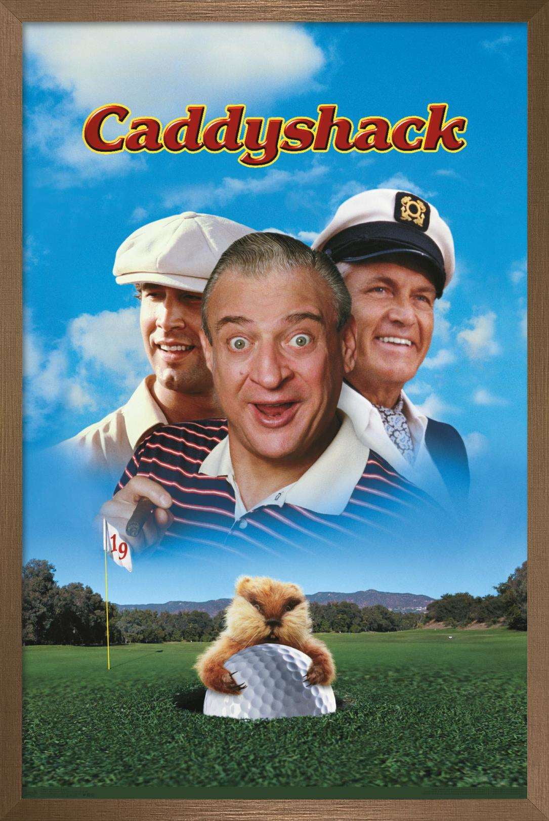 Caddyshack - Key Art Wall Poster, 22.375" x 34", Framed - Walmart.com