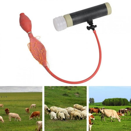 POCREATION Ejaculations Instrument For Livestock,Ram Ox Semen ...