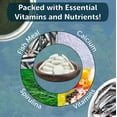 Calcium Feeding Shells, Small & Medium for Shrimp, Snails, Crabs ...