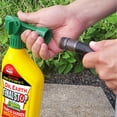 Dr. Earth Final Stop Insect Killer Liquid, Yard and Garden, 32 oz ...