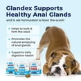 Vetnique Labs Glandex Digestive Health Anal Soft Chews for Dogs, Peanut ...