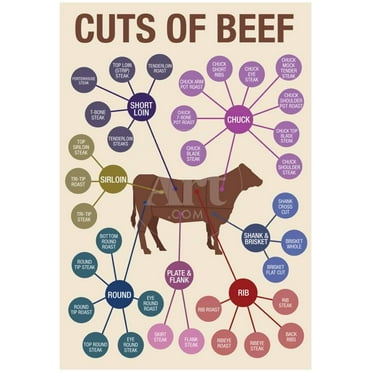 Beef Cuts Of Meat Butcher Chart Cattle Diagram Poster 16in x 24in 16x24 ...