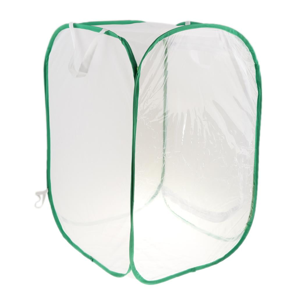 Click here for Dolity Foldable Insect Butterfly Habitat Net Terra... prices