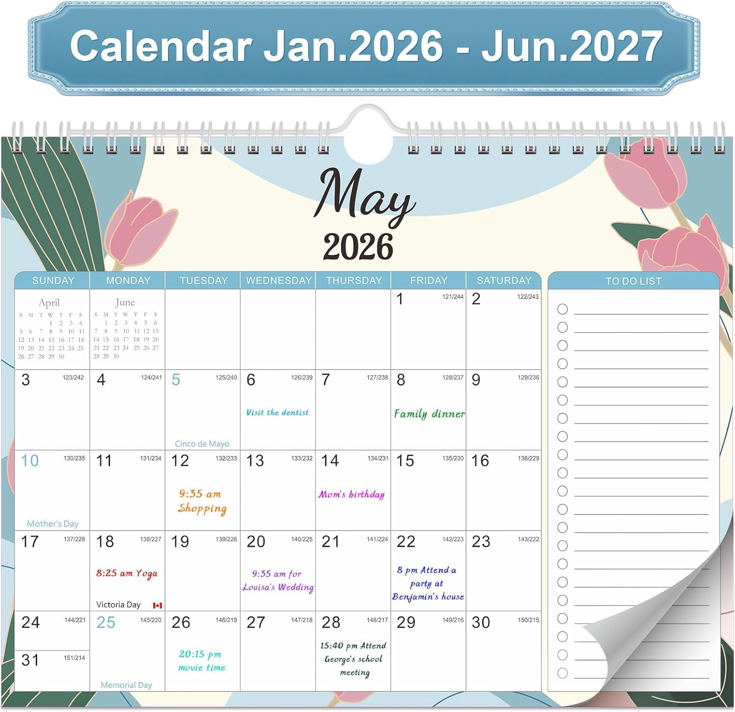 Calendrier Mural Rejoda 2026-2027, 18 Mois de Jan. 2026 à Jun. 2027 ...