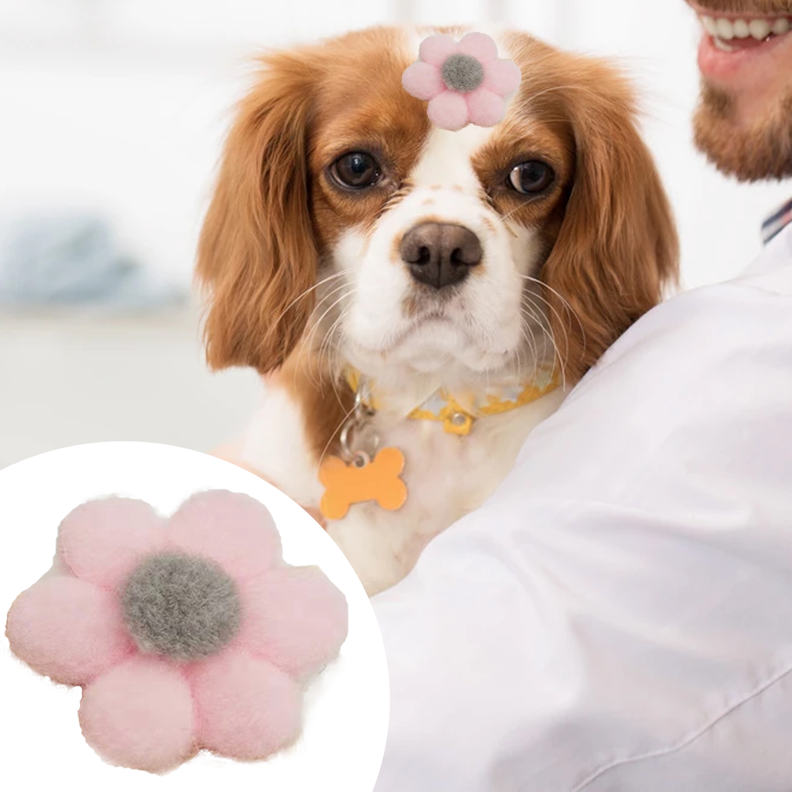 Mosey Lovely Barrette Vibrant Color for Pet Clasp Tightly - Walmart.com