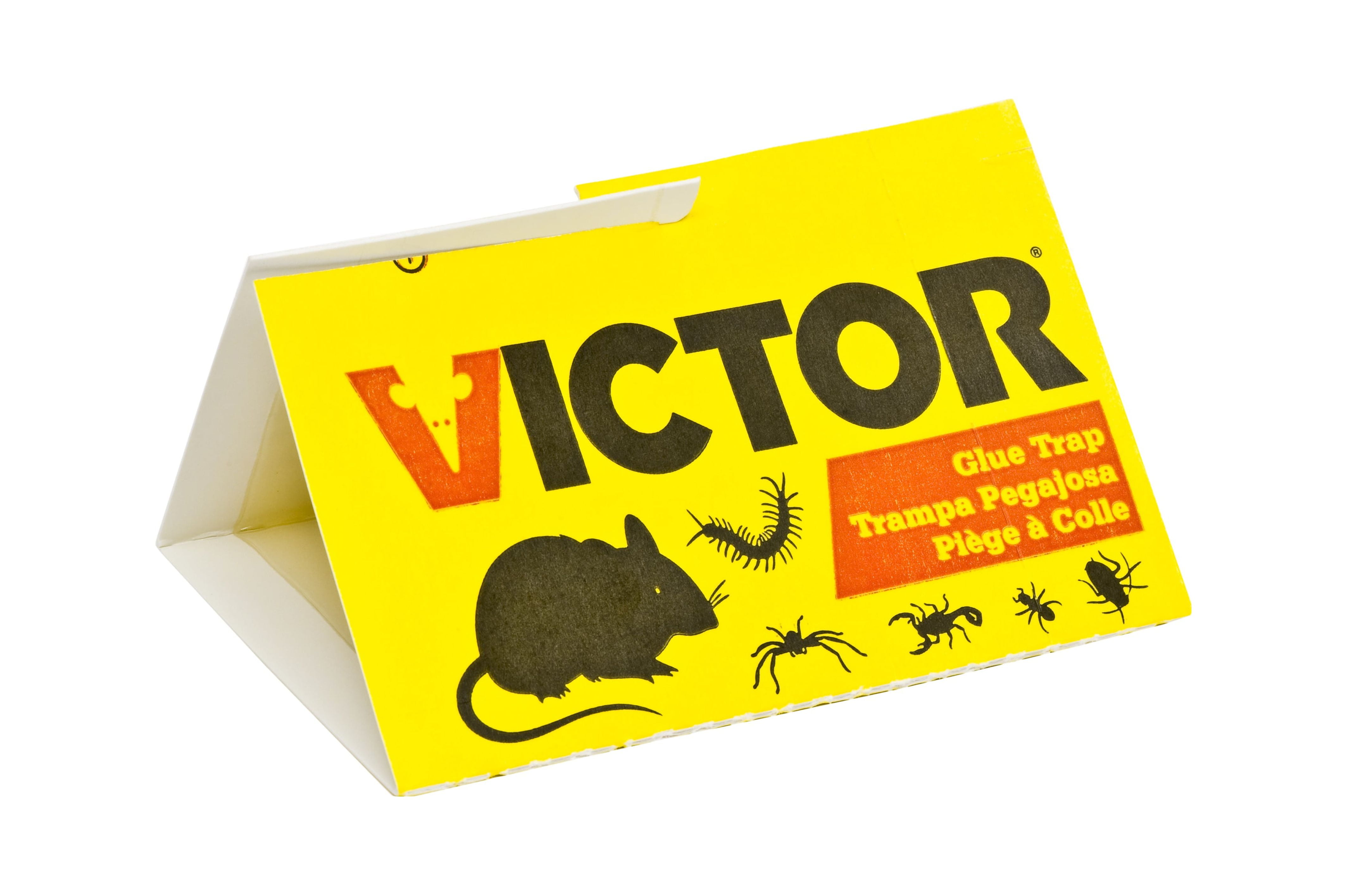 Large Mouse Trap 12 Pack Super Sticky Rat Glue Traps - Large Mouse ...