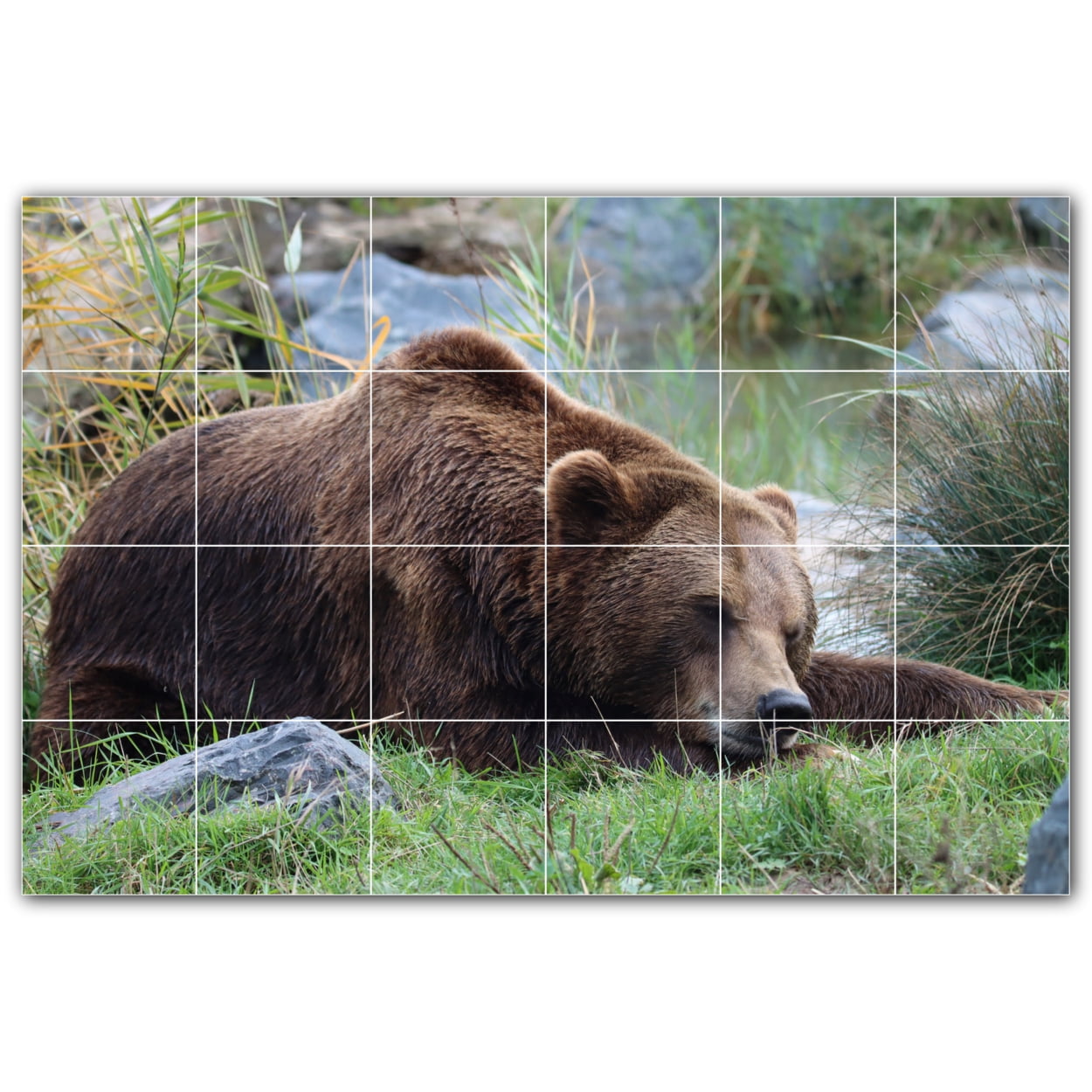 Picture-Tiles.com: Bear Ceramic Tile Wall Mural WAL500124-64XL. 72"W x ...