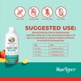 (2 pack) MaryRuth's Liquid Magnesium Blend Pineapple Nectarine ...