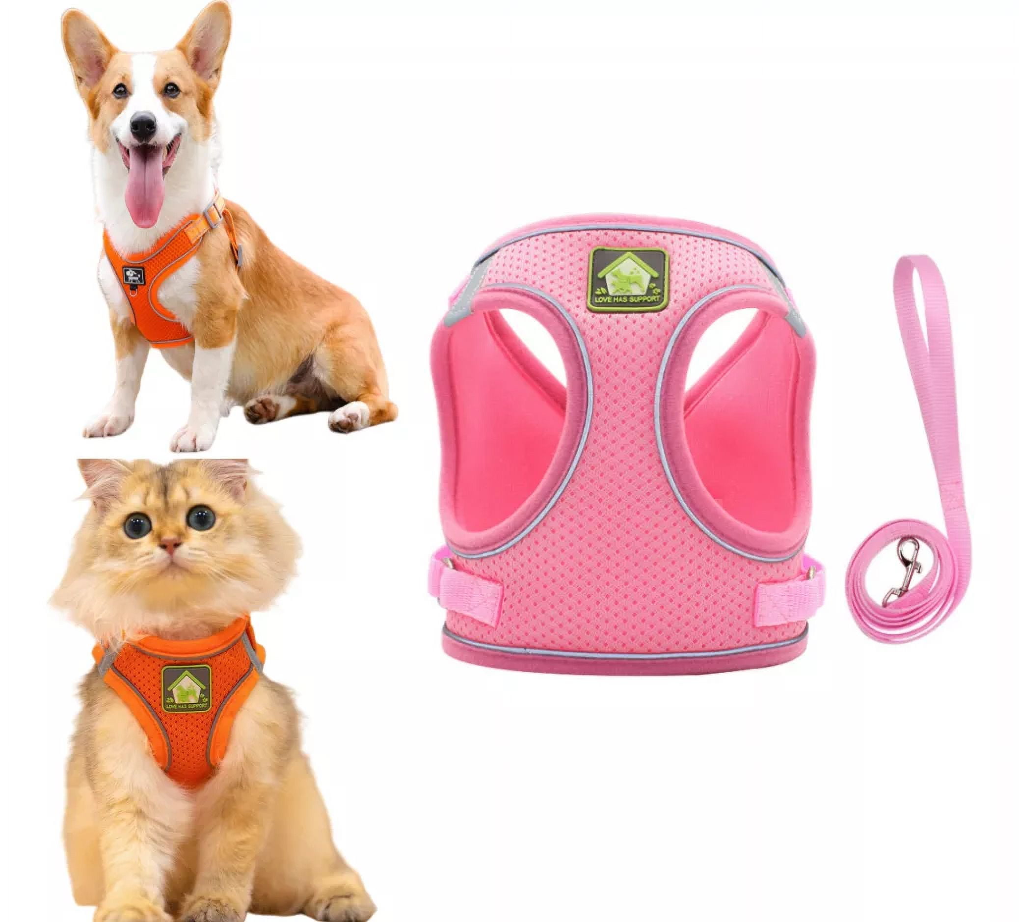 Kit Pechera Arnés Y Correa De Chihuahua Para Perros Y Gatos | Walmart ...