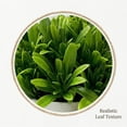 2PCS Mini Artificial Grass Plant in Pot, Artificial Plants Indoor ...