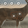 Ez Aim Paper Shooting Targets, 4-Color 35 In x 23 In Whitetail Targets ...