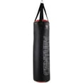 Century Brave 70lb Heavy Punching Bag for MMA, Karate, Judo, Muay Thai ...