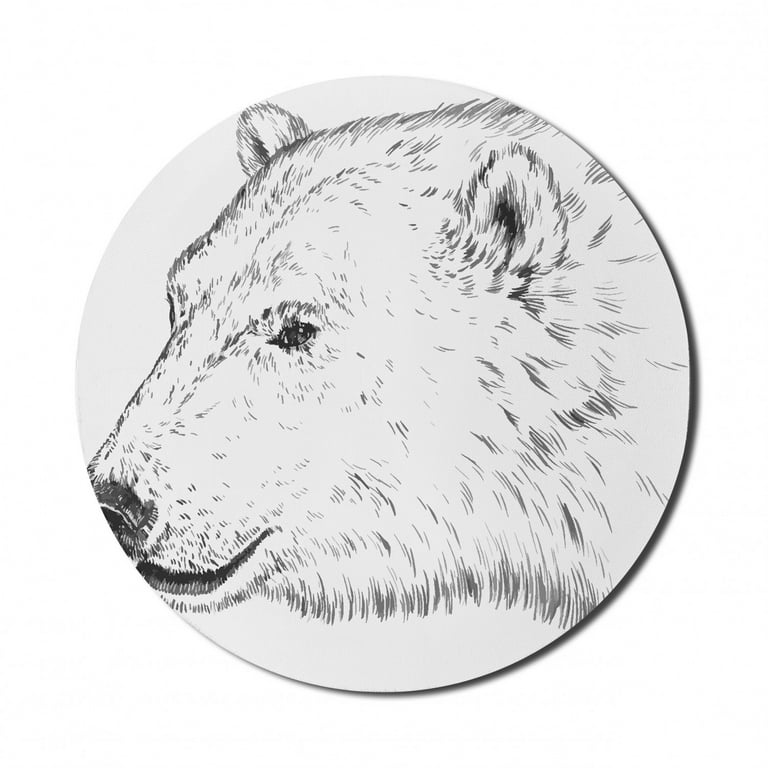 Bear Profile Drawing