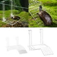 Transparent Reptiles Acrylic Turtle Basking Platform Turtle Resting ...