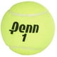 Penn Championship Extra Duty Tennis Ball Case Pack ( 12 Cans, 36 Balls ...