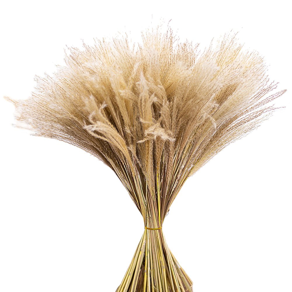 Click here for Generic Dried Pampas Grass Artificial Flowers Reed... prices