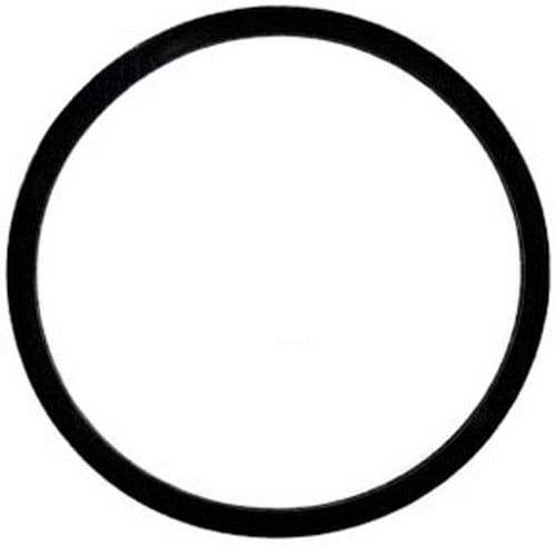 Binks 83-1419 Gasket - Walmart.com