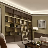 Mon Stainless Steel Rolling Library Ladder for Bookshelf, Silver ...