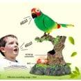 Music Magic Talking Parrot - Walmart.com