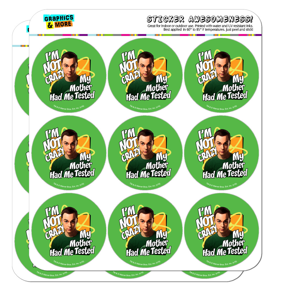 Big Bang Theory Sheldon Cooper I'm Not Crazy Planner Calendar ...