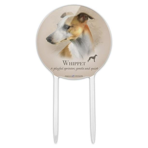 Acrylic Whippet Dog Breed Cake Topper Party Decoration for Wedding ...
