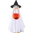 Halloween Goose Outfit 23in, Costume Set with Hat Pumpkin Basket, High ...