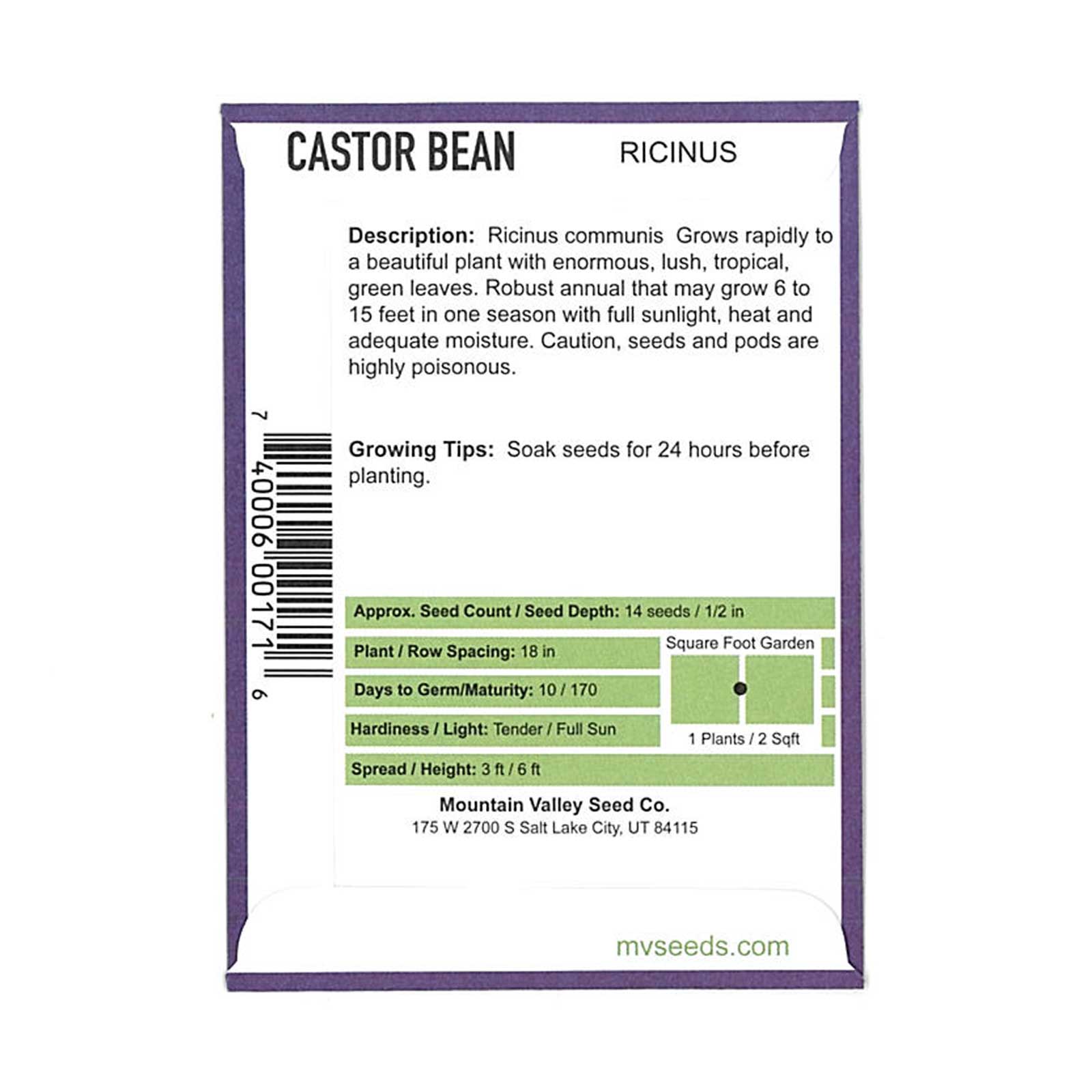 Outsidepride Castor Bean Ricinus Communis Gibsonii Seeds - 100 Seeds ...