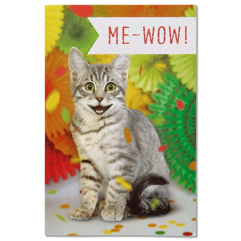 Congratulations On Your Promotion Cat