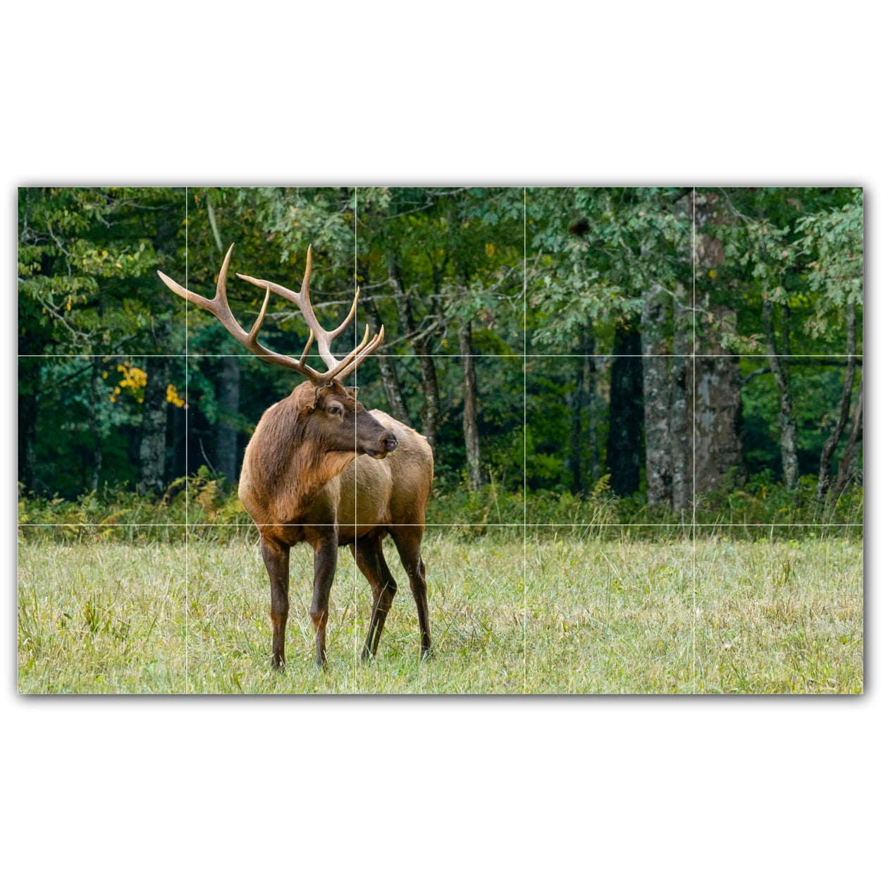 Picture-Tiles.com: Deer Ceramic Tile Wall Mural WAL500433-53M. 30"W x ...