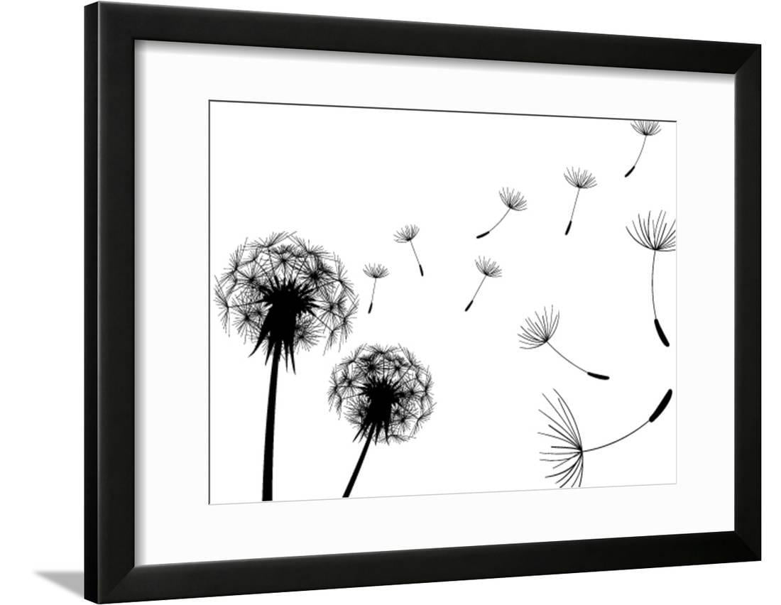 Blow Dandelions On White Background Framed Print Wall Art By Sergey ...