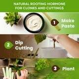 Big Foot Root Boost Azospirillum - Pea Inoculant, Grow New Plants from ...