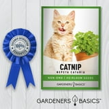 Gardeners Basics Catnip Seeds, Heirloom Catnip Seeds for Cats and ...