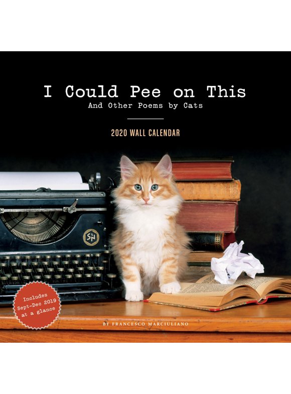 Cat Wall Calendars in Wall Calendars - Walmart.com