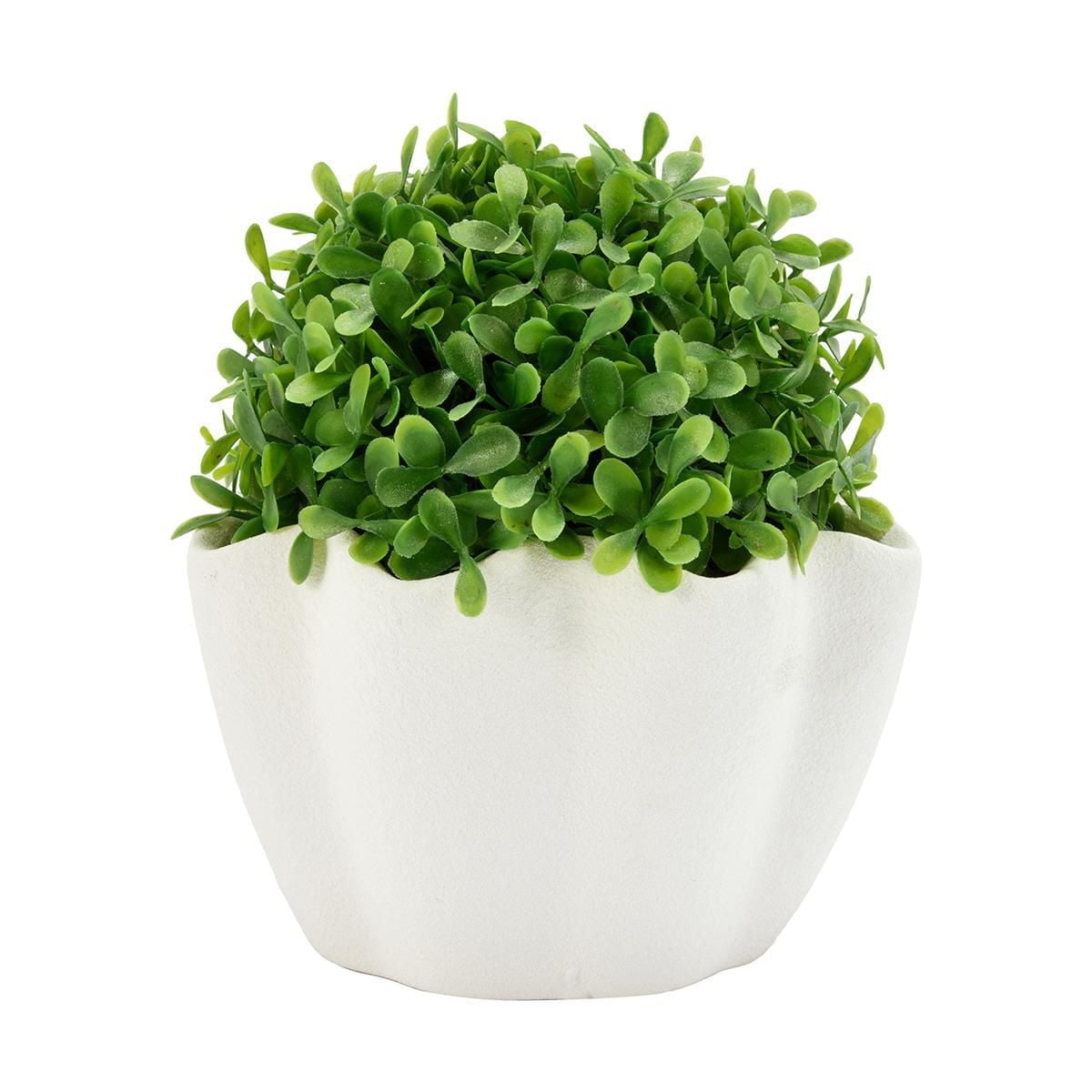 Click here for Anko Artificial Topiary In Wave Pot prices