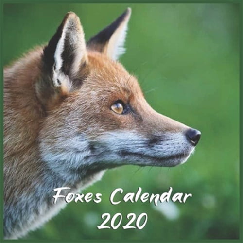 foxes calendar 2020 : 12 Month Calendar (Paperback) - Walmart.com