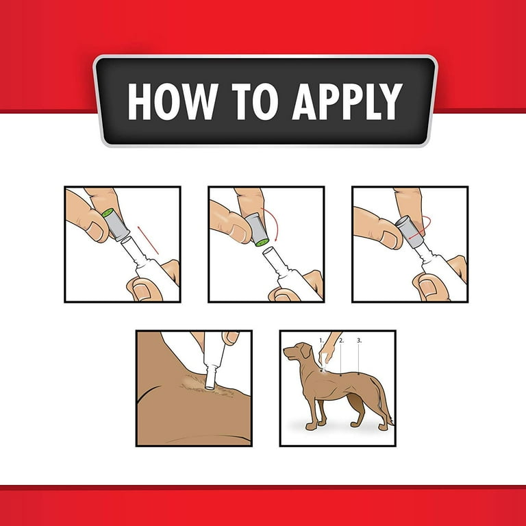 Is There A Flea Injection For Dogs